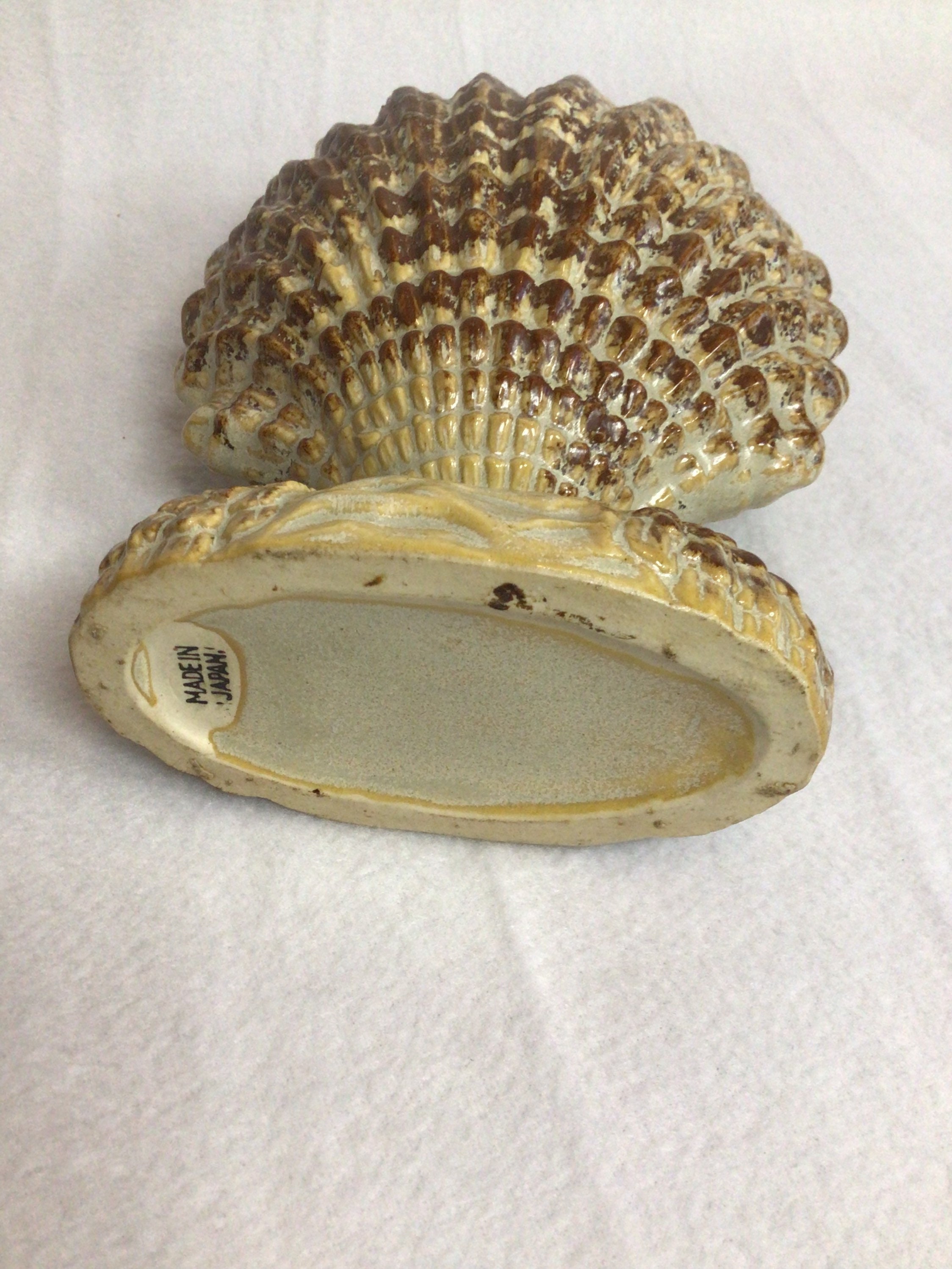 Seashell/clam Shell/scallop Vase Glazed Ceramic-made in - Etsy