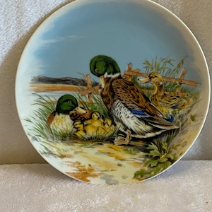 Duck Plates Set of 2 Made in Japan Vintage - Etsy
