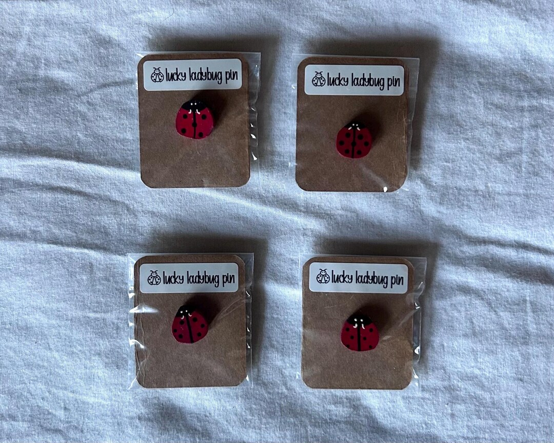 New Year’s Custom Hand Painted Lucky Ladybug Pin, Lapel Pin, Bag Pin ...