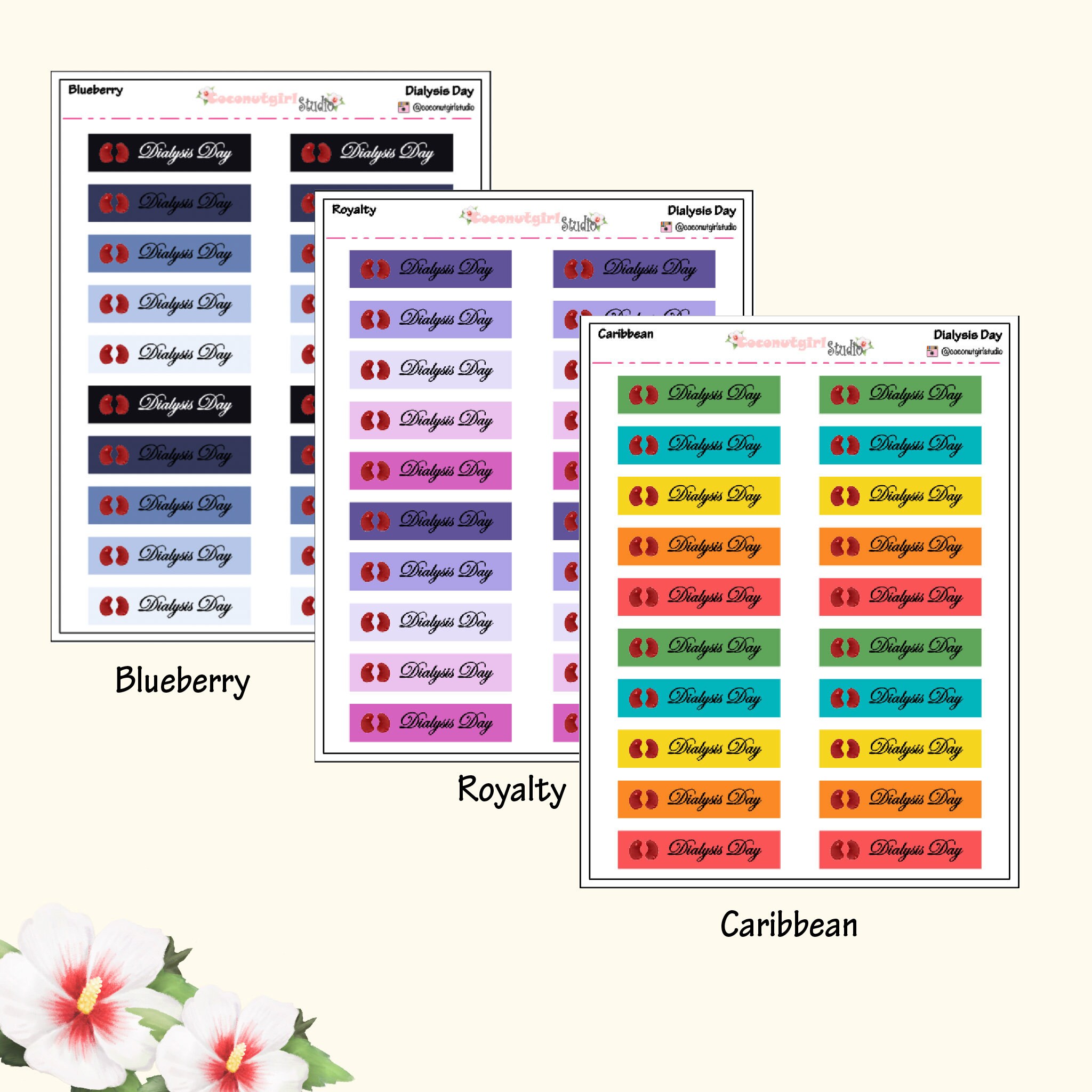 Dialysis Day Stickers Functional Reminders Medical - Etsy