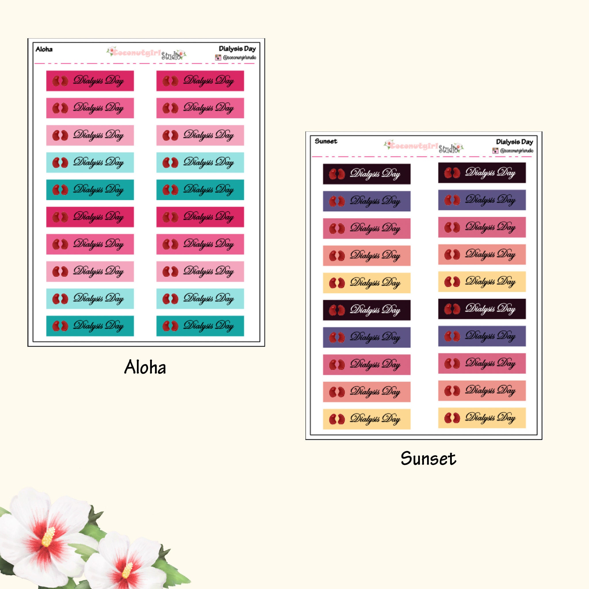 Dialysis Day Stickers Functional Reminders Medical - Etsy