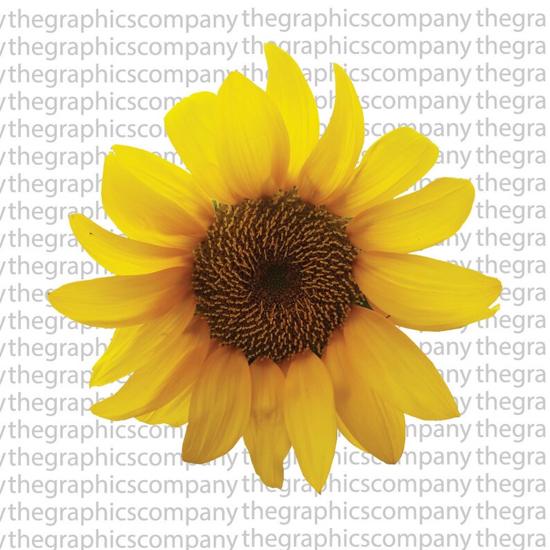 Patio Table Decals Vinyl Stickers DIY Self Stick Bubble Free - Etsy