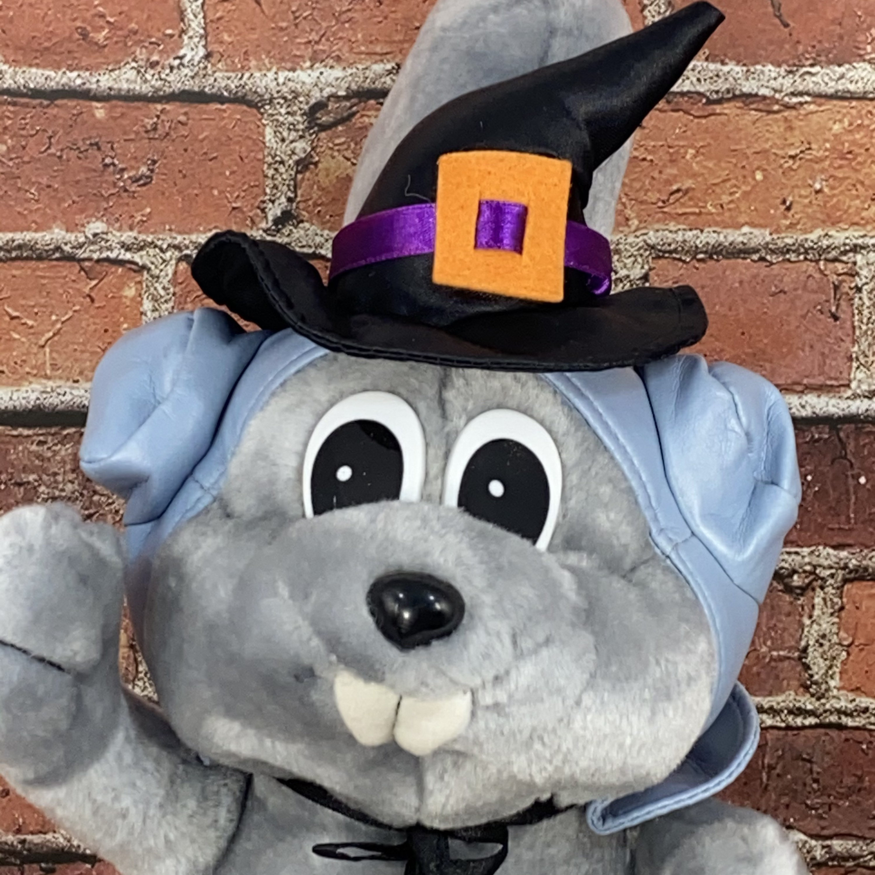 Rocky The Flying Squirrel Costume