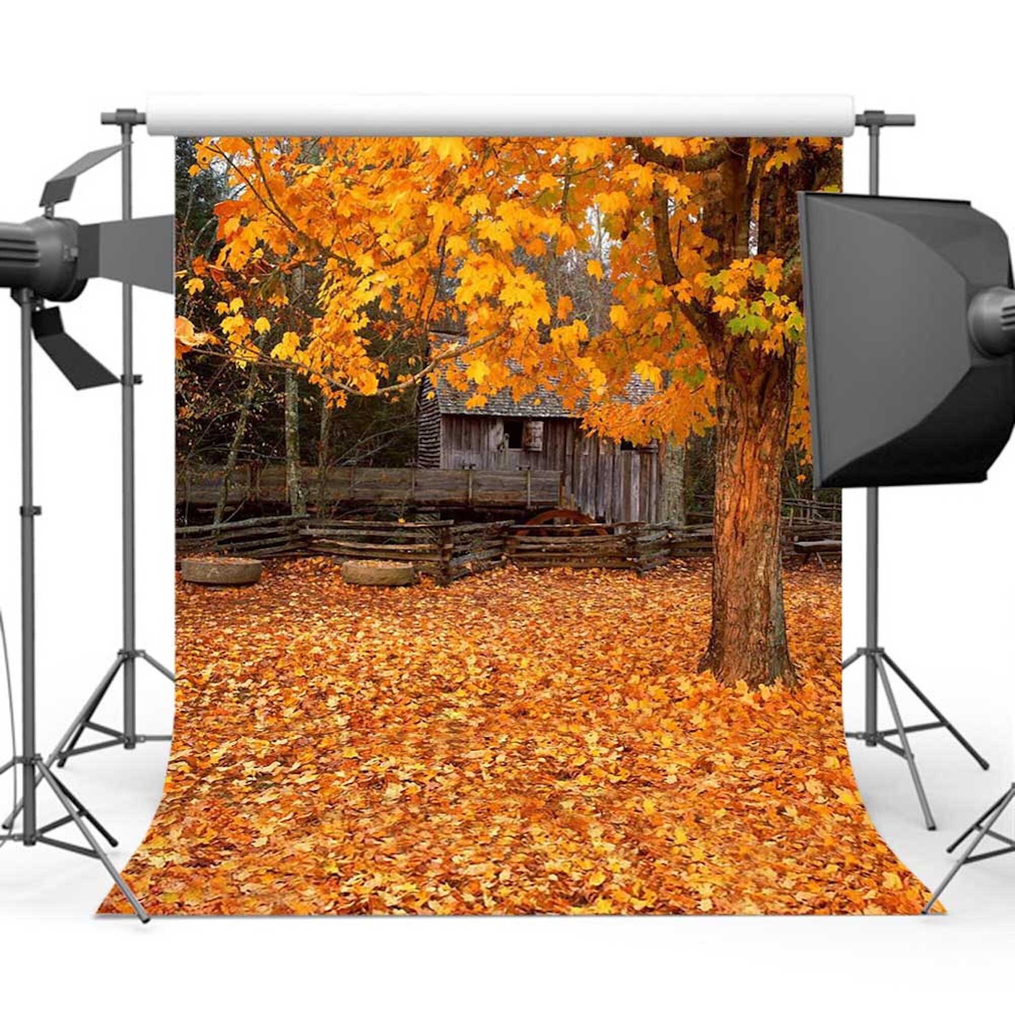 Vinyl Autumn Fall Maple Photography Studio Backdrop Banner Background ...