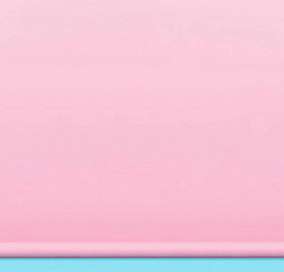 Pure Solid Pink Old Master Portrait Photography Studio | Etsy