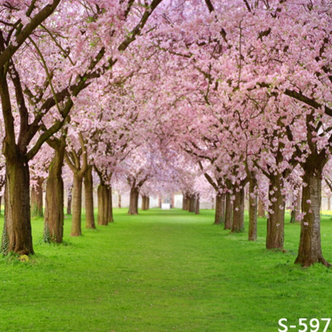 Spring Pink Sakura Tree Grass Lawn Photography Studio Backdrop ...