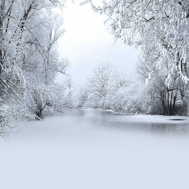 Frozen Backdrop - Etsy