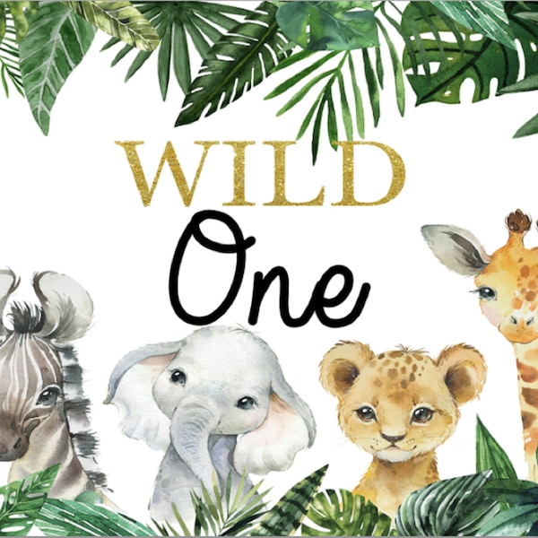 Wild One Backdrop - Etsy