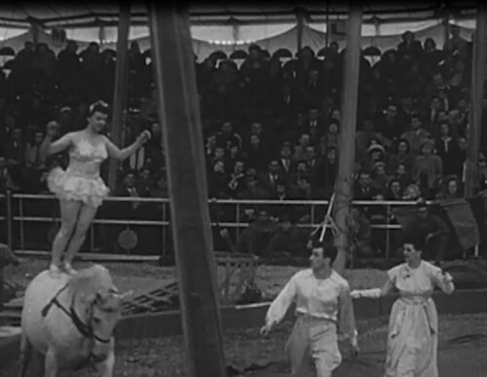 60 Vintage Rare Old Circus Clowns Films Over 8 Hours of Footage ON DVD ...