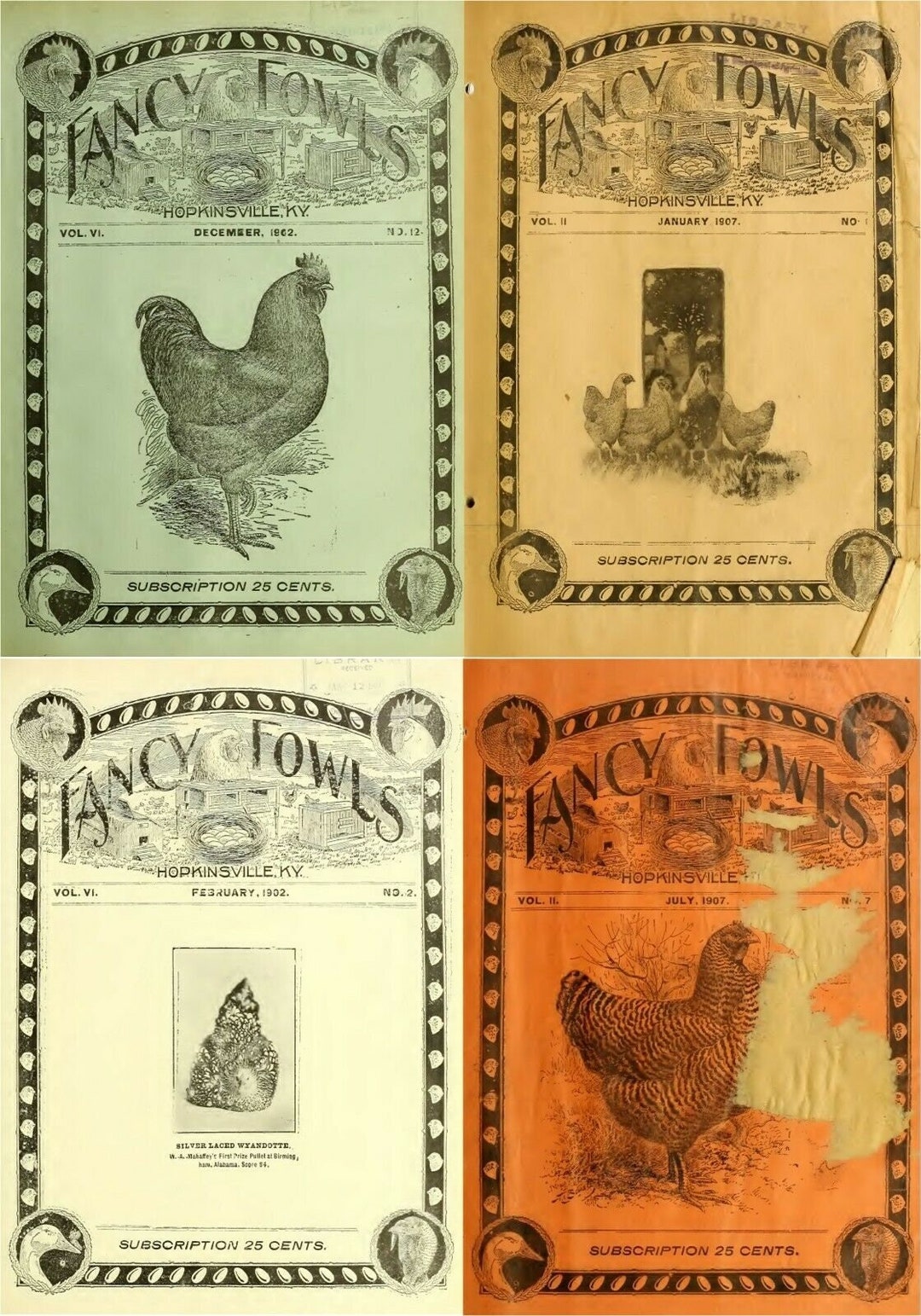 60 Rare Old Issues of Fancy Fowls - Poultry Farming Magazine (1902-1907 ...