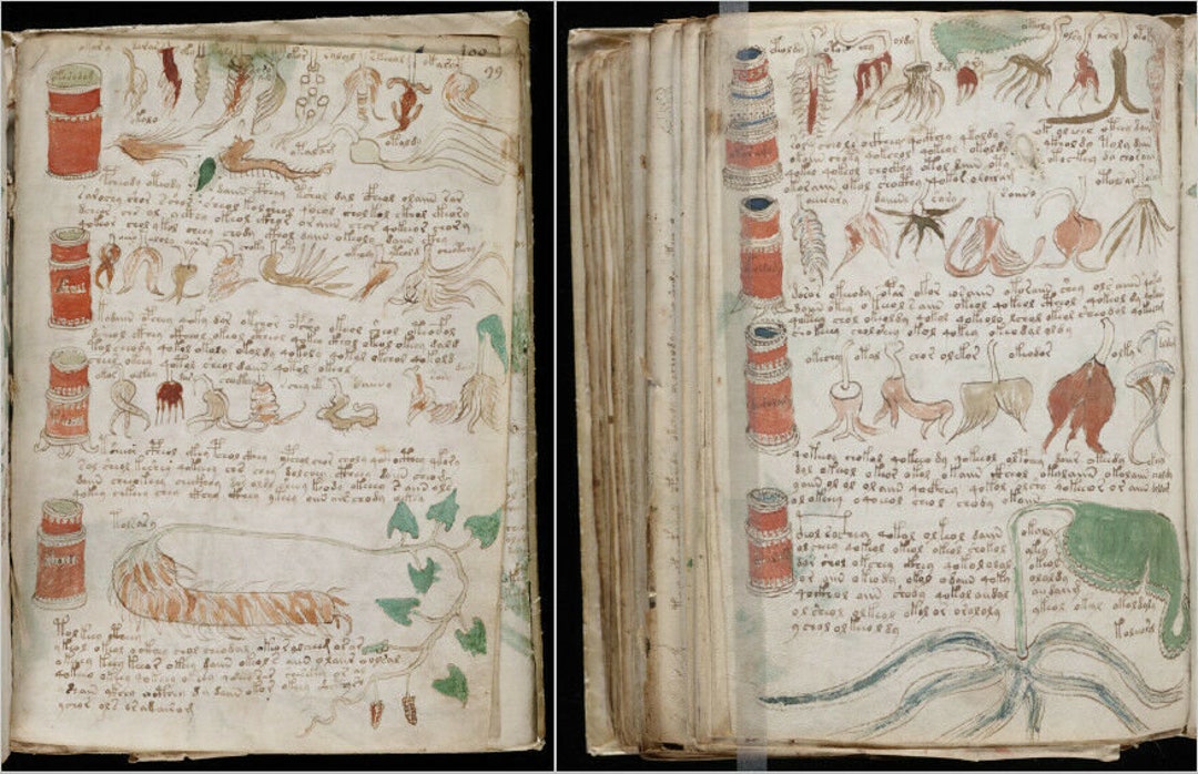 The Mysterious Voynich - Ancient Strange Manuscript Cipher Cryptography ...