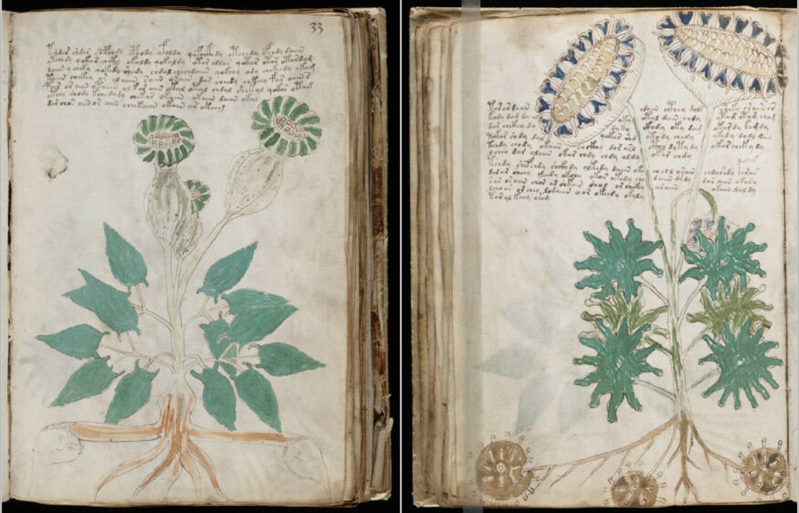 The Mysterious Voynich - Ancient Strange Manuscript Cipher Cryptography ...