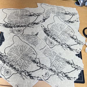 Trench Map - Etsy