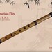 Quena Indian Clarinet Native American Flute Wood Wind Music Instrument ...