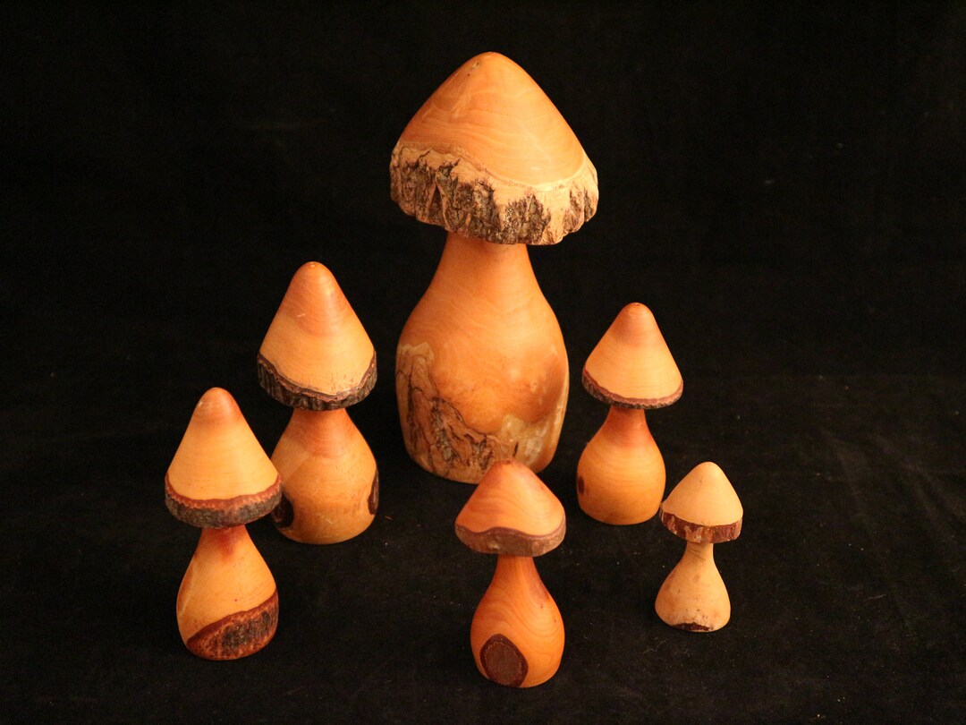 6 Wooden Mushrooms Solid Wood Decorative Mushroom Made of Wood Natural ...