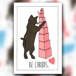 Cats in the Classroom Vinyl Sticker Pack Set of Adorable Montessori ...