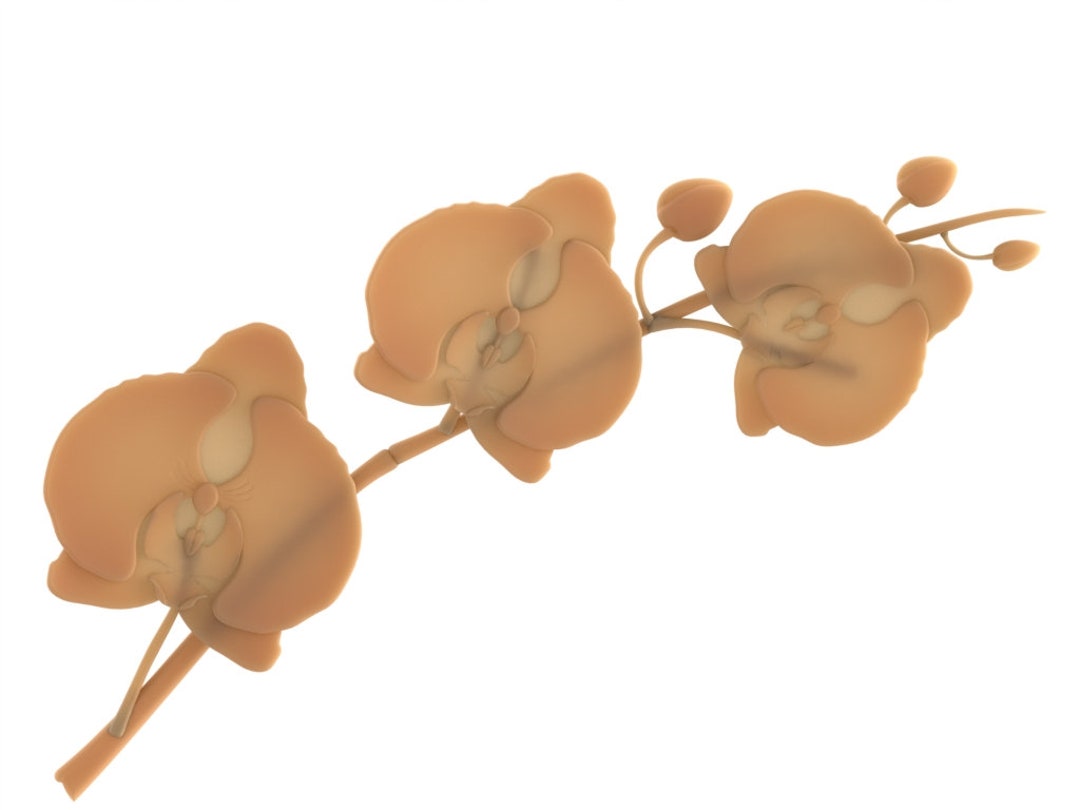 3D Orchid STL FILES for 3D CNC Carving - Etsy