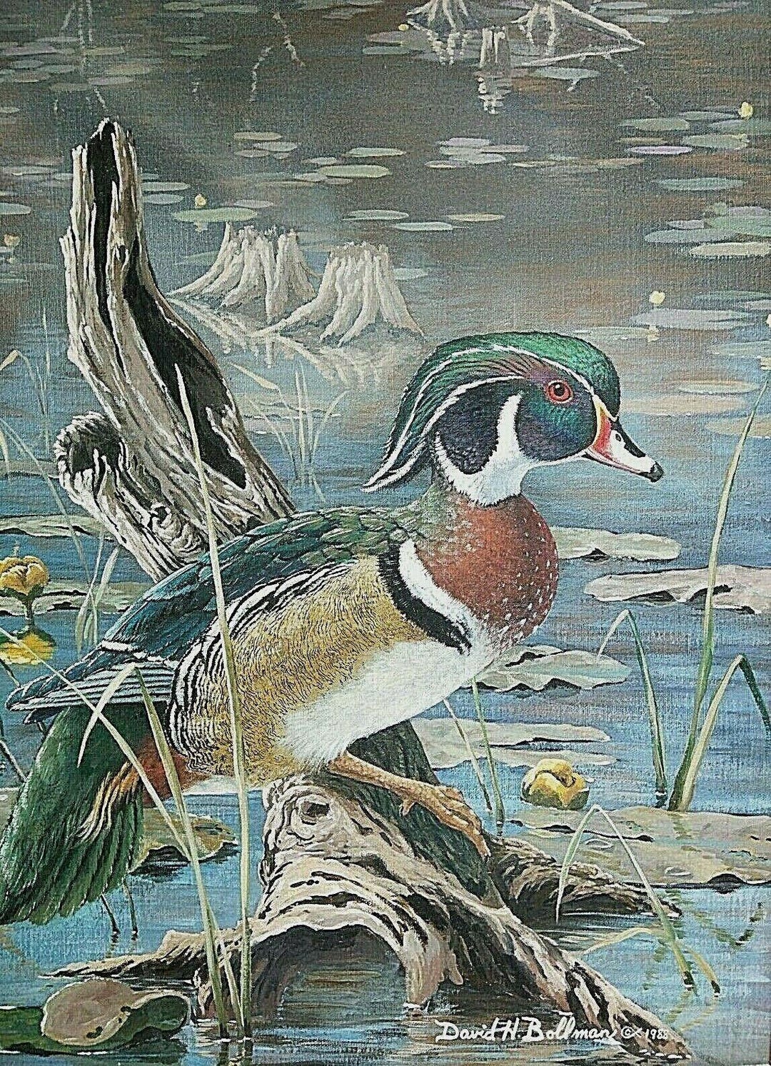 Illustrative Painting Duck Fred Trost Outdoor Digest Michigan D Bollman ...