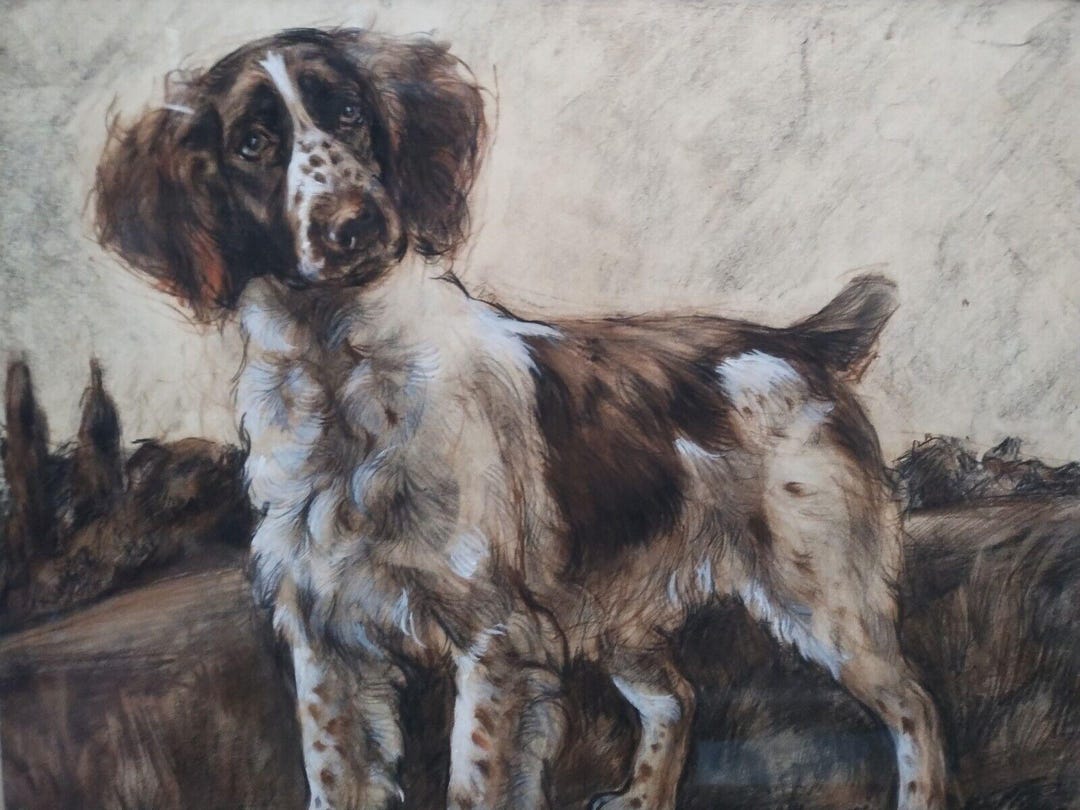 Vtg Watercolor Painting Portrait Dog Eleanor Litchfield Springer ...