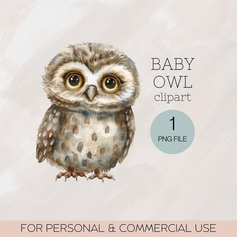 Owl Clipart, Woodland Animal Clipart, Watercolor Clipart, Owl Png, Cute Animal Clipart, Baby Owl ...