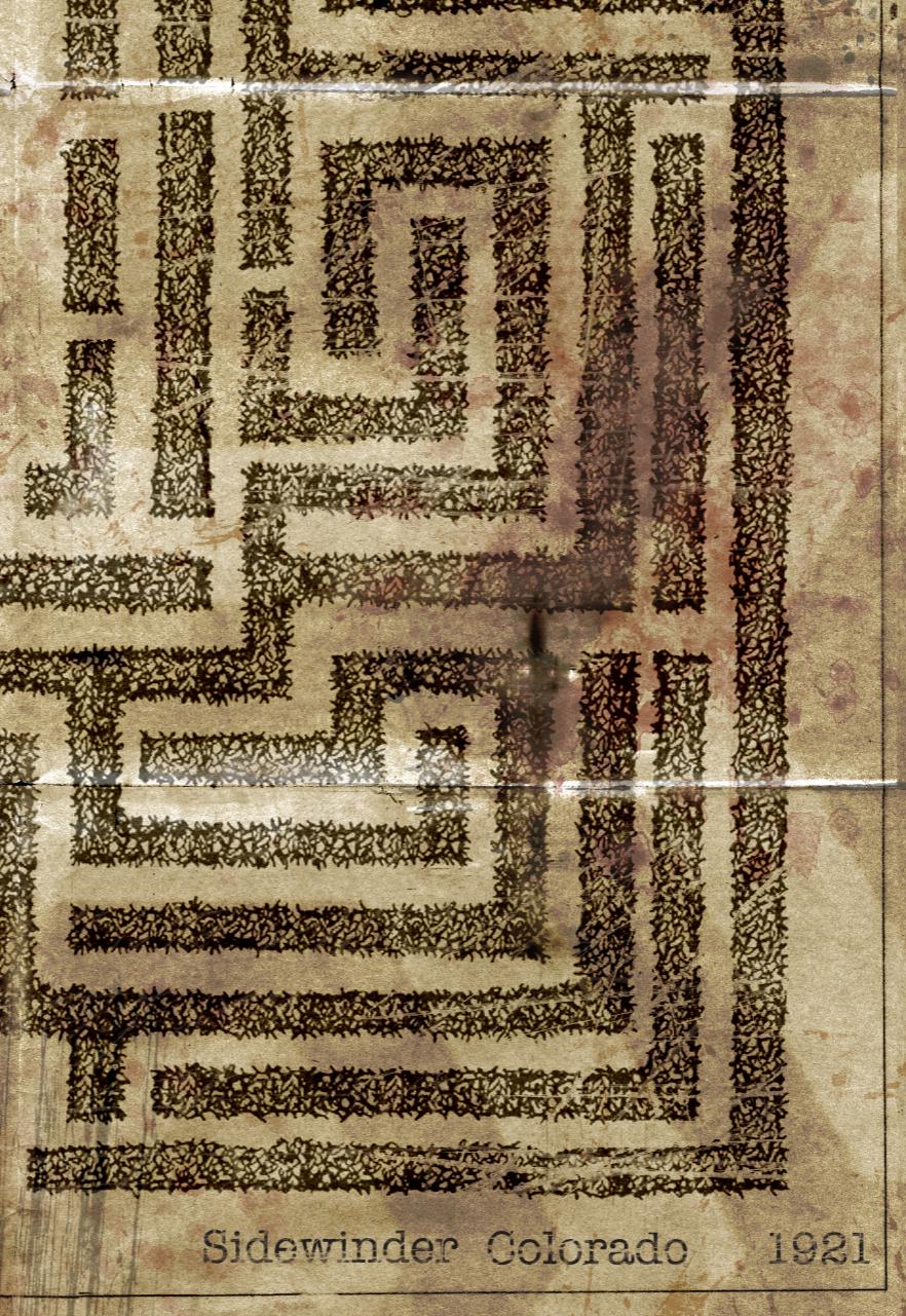 The Shining - Overlook Hotel Maze Map - Etsy