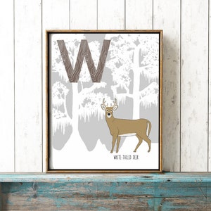 Bayou Alphabet Critters. Letter W. White-tailed Deer. Children's Room ...
