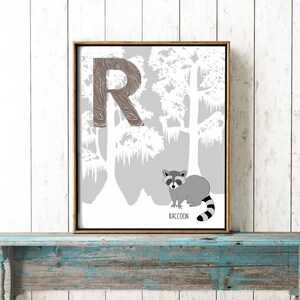 Bayou Alphabet Critters. Letter R. Raccoon. Children's - Etsy