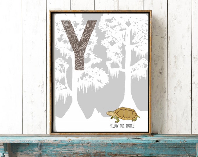 Bayou Alphabet Critters. Letter Y. Yellow Mud Turtle. Children's Room ...