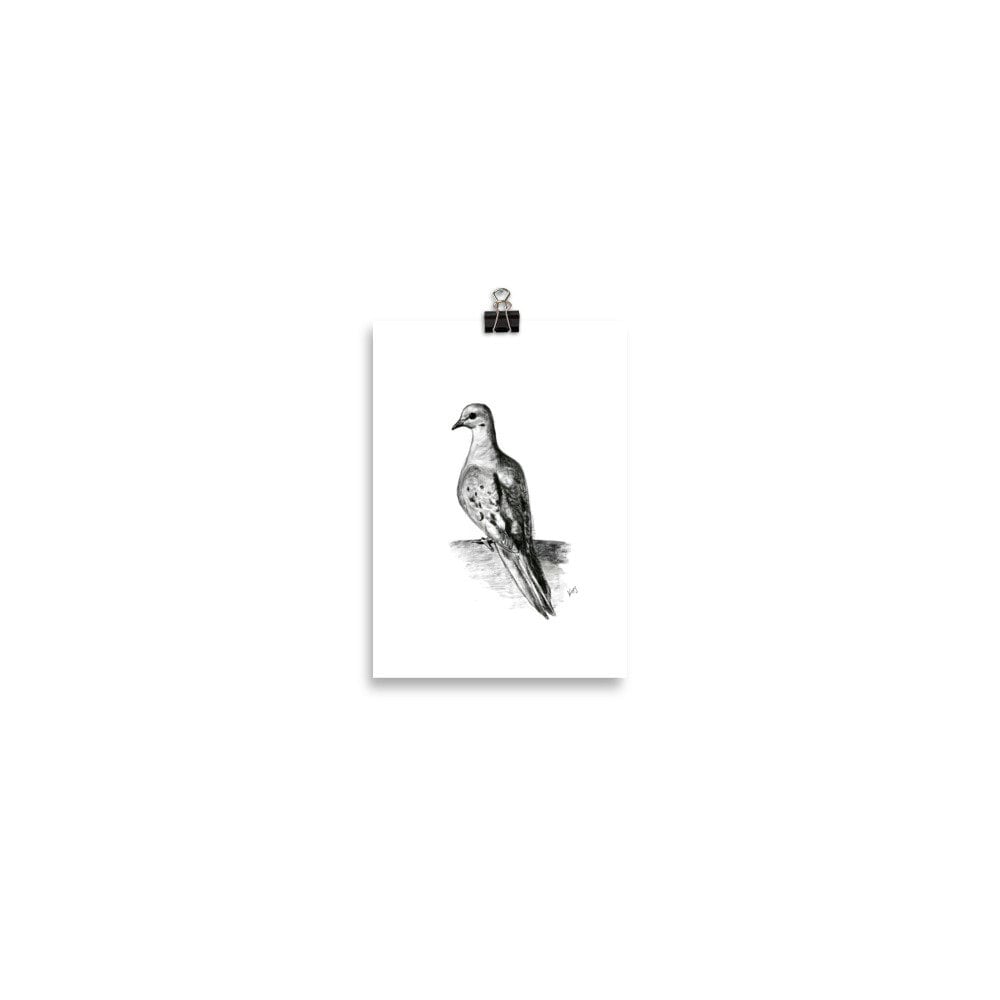 Dove Art Print, Line Art Drawing, Original Drawing, Mourning Dove Art ...