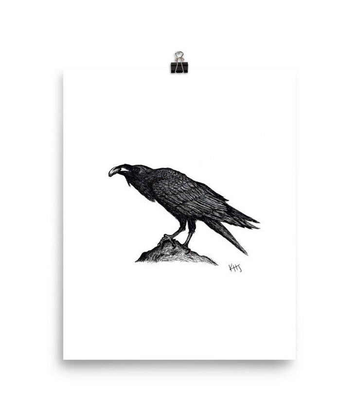 Raven Art Print | Line Drawing | Bird Art Print | Raven Print | Raven ...