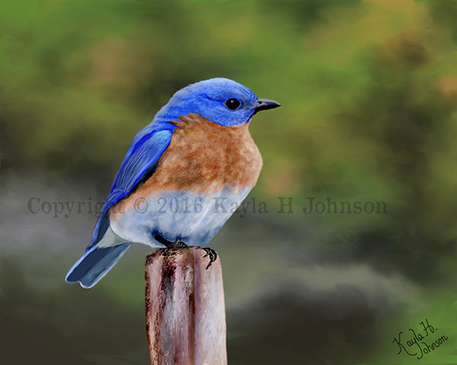 Blue Bird Painting Bluebird Original Art Print Bird - Etsy