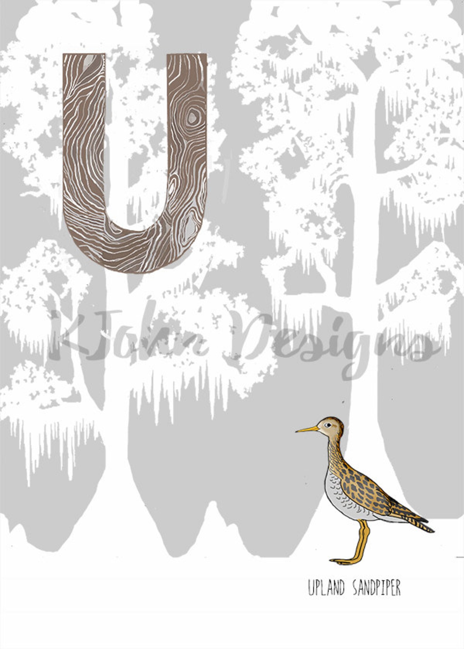 Bayou Alphabet Critters. Letter U. Upland Sandpiper. - Etsy