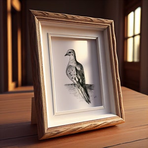 Dove Art Print, Line Art Drawing, Original Drawing, Mourning Dove Art ...