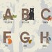 Southern Animal Alphabet Print Alphabet Poster ABC Animals - Etsy