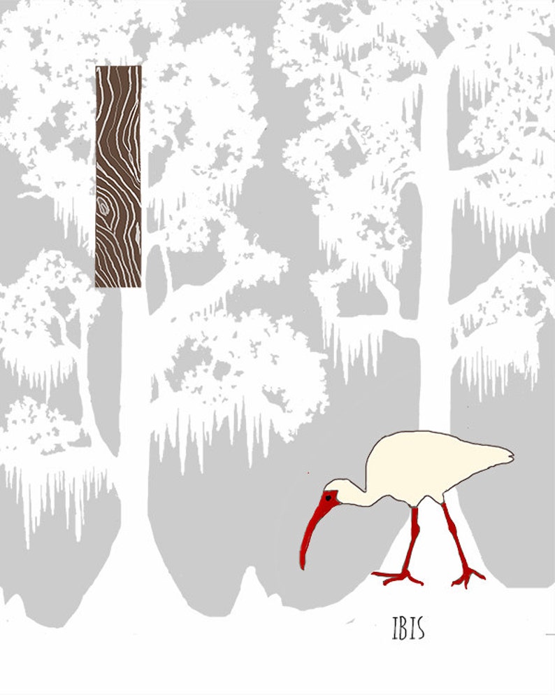 Bayou Alphabet Critters. Letter I. Ibis. Digital Download. - Etsy