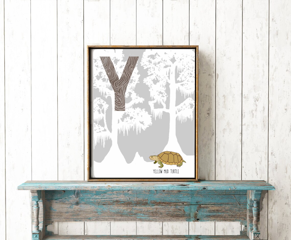 Bayou Alphabet Critters. Letter Y. Yellow Mud Turtle. - Etsy