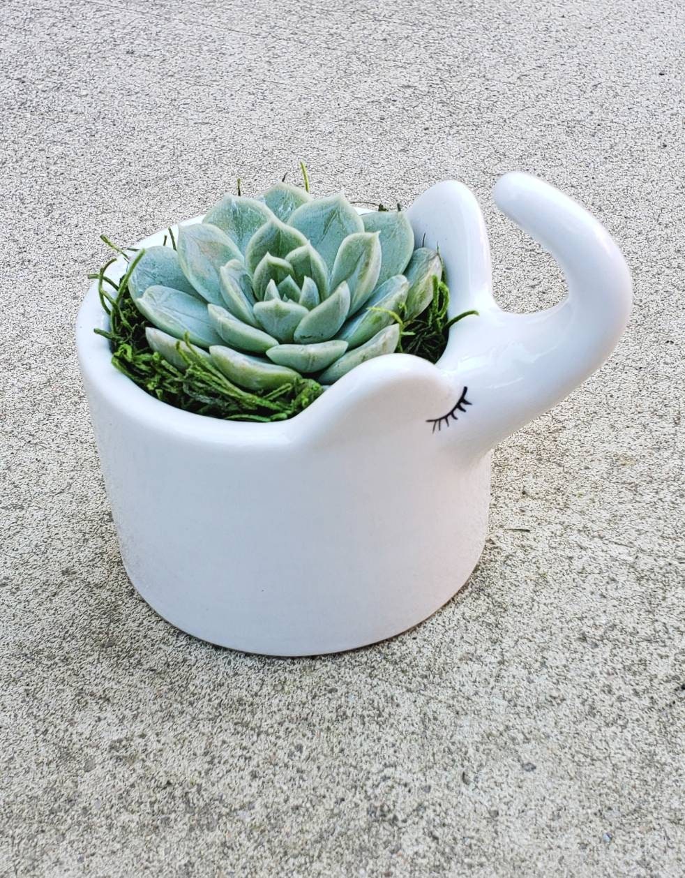 Unique white baby Elephant animal planter pot with living real | Etsy