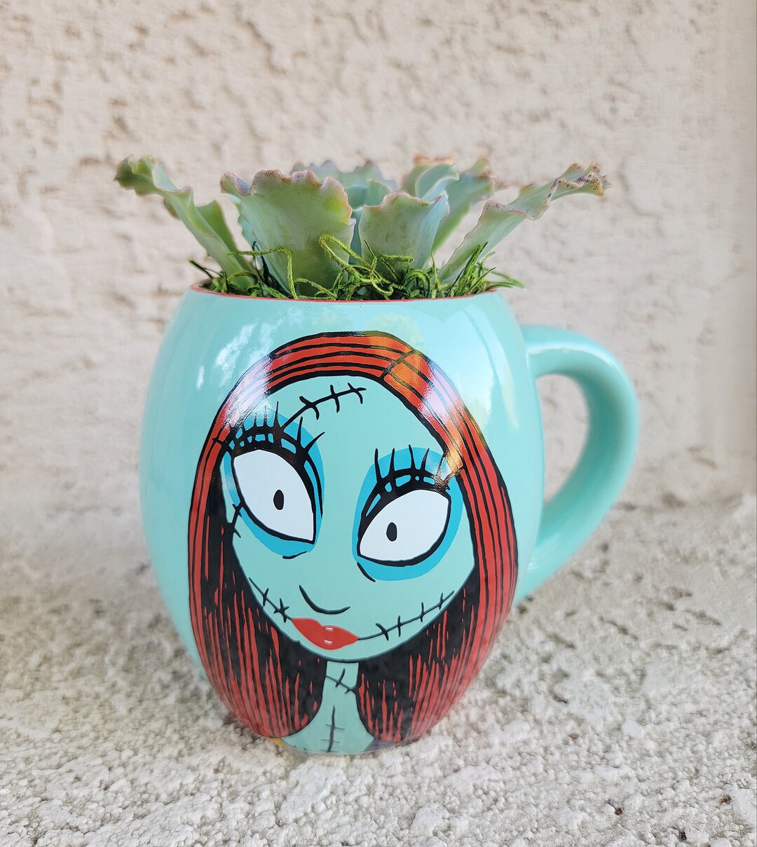 Sally the Nightmare Before Christmas Planter With Real Living Succulent ...