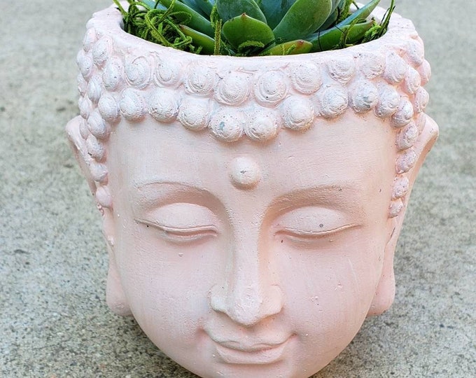 Buddha Planter - Etsy