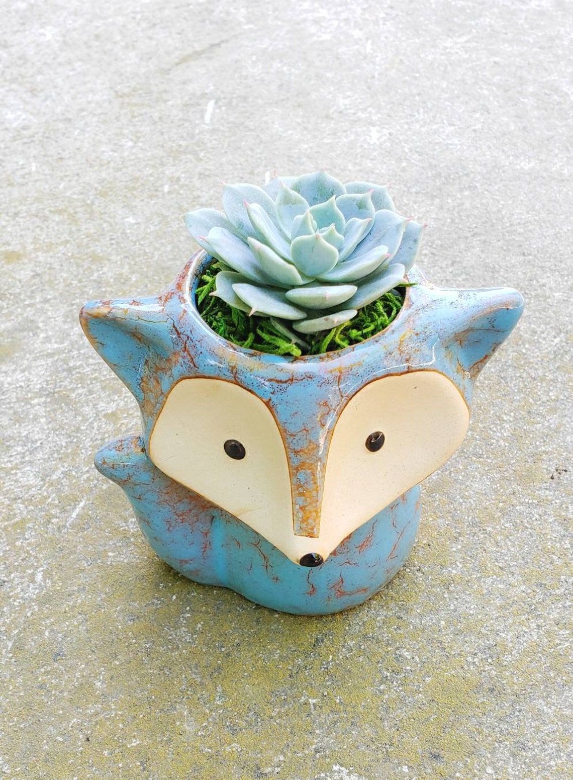Cute Turquoise/brown Fox Animal Planter Pot With Living | Etsy