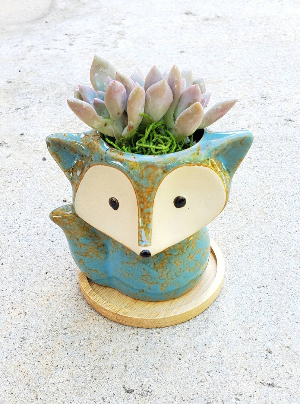Cute Turquoise/brown Fox Animal Planter Pot With Living | Etsy