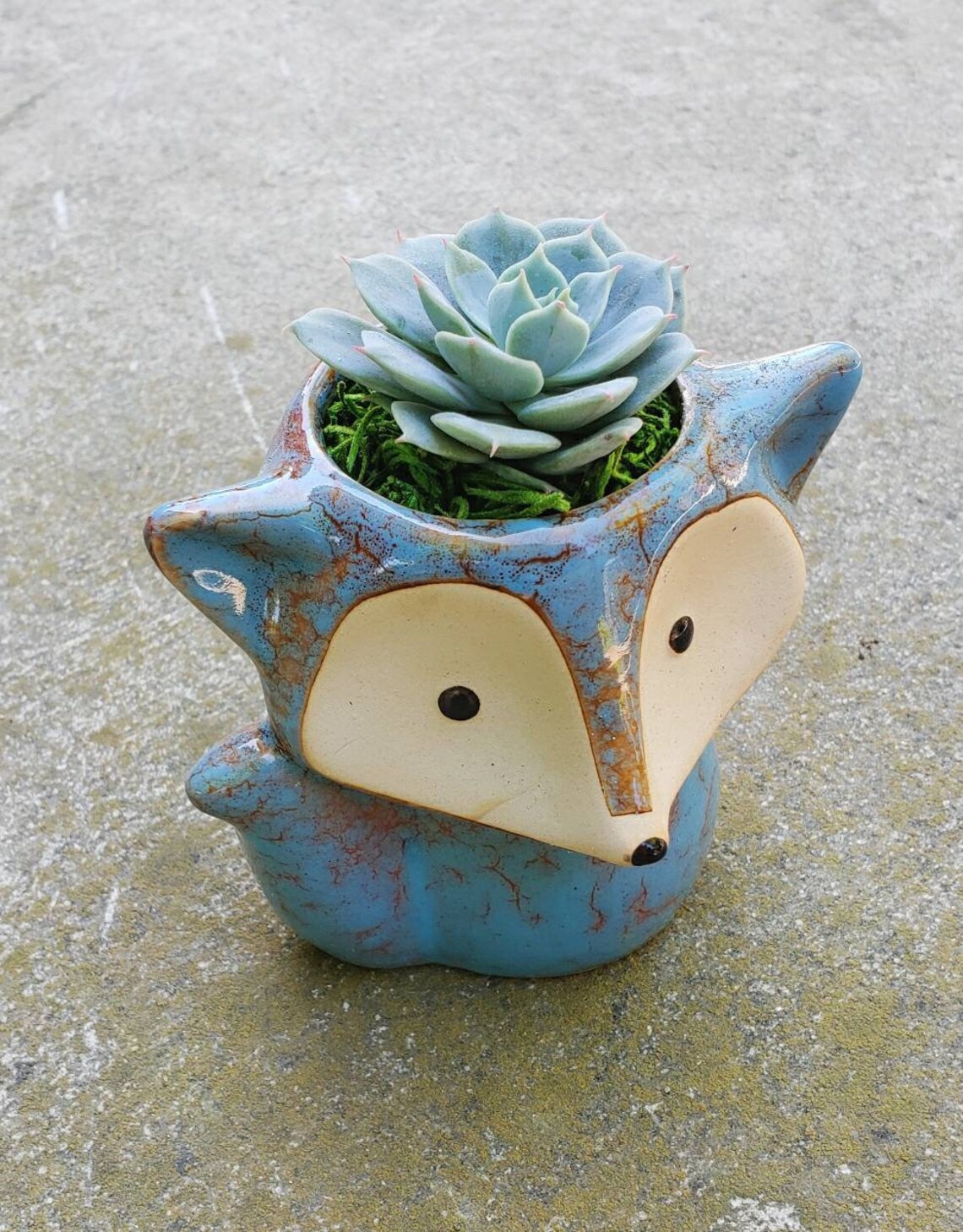 Cute Turquoise/brown Fox Animal Planter Pot With Living | Etsy