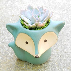 Super Cute Blue Fox Animal Planter Pot With Real Living Succulent ...