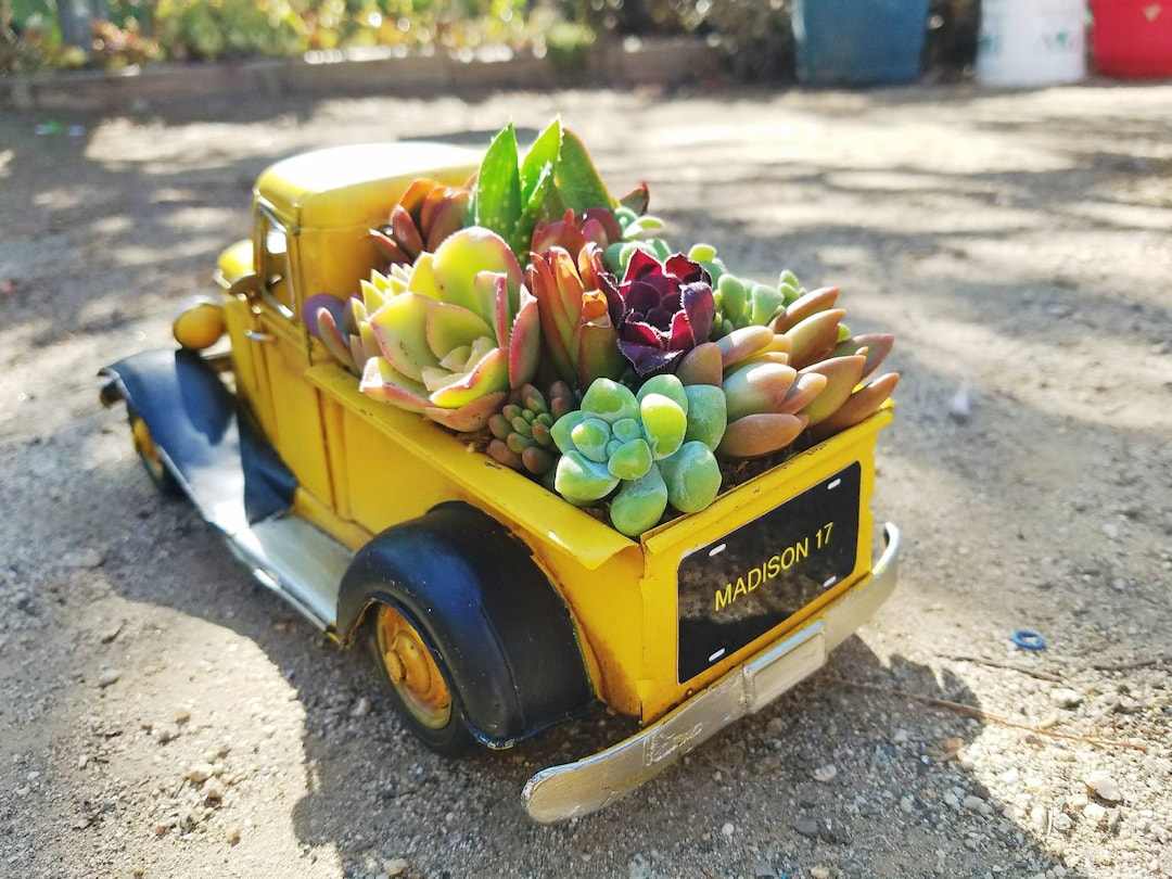 Custom License Plate Yellow Rustic Pickup Truck Succulent Planter - Etsy