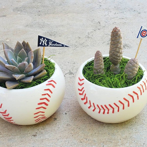 Succulent Planter - Etsy