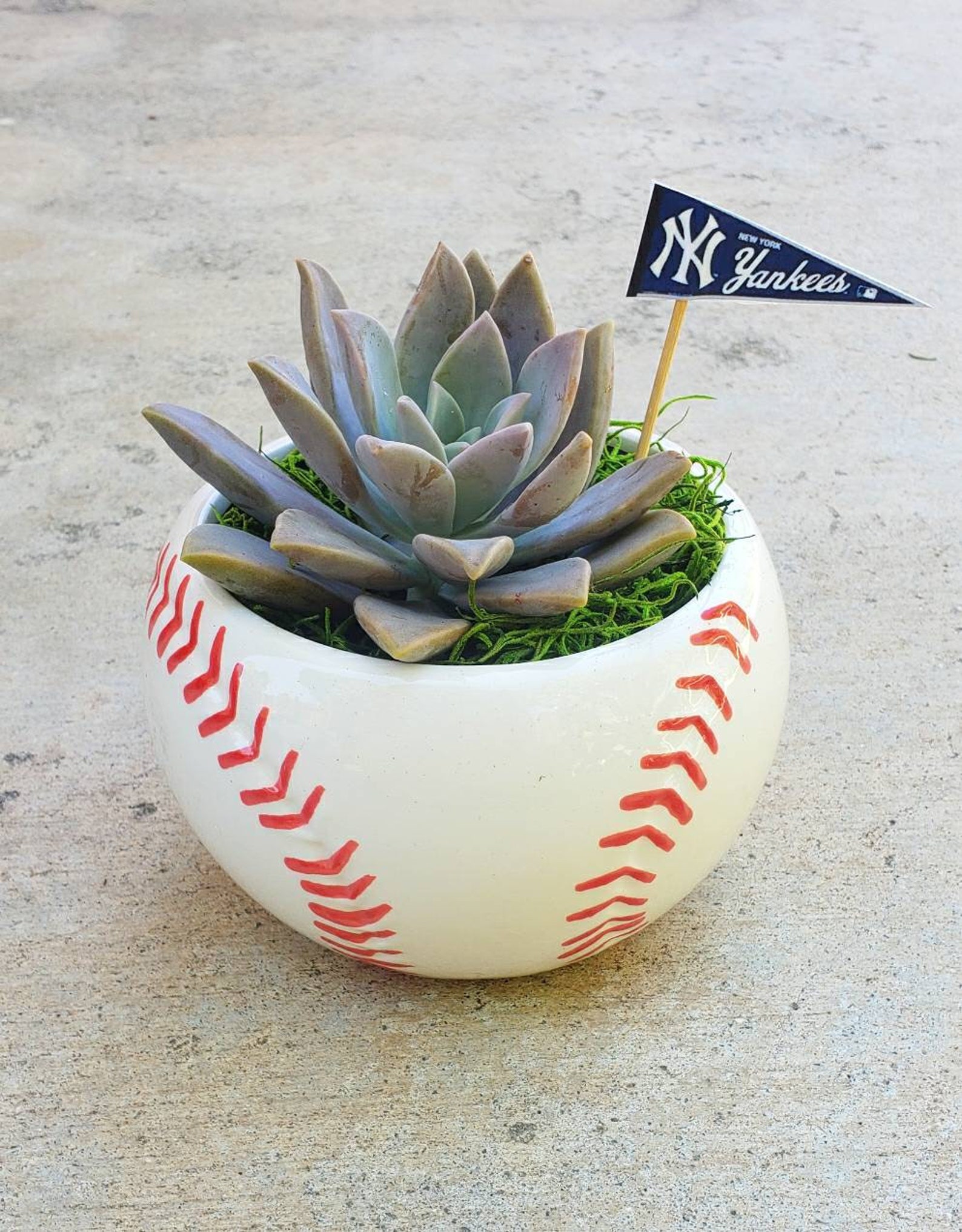 Unique Baseball Fans Lover Ceramic Planter Bowl Pot Customize With Your ...