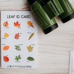 Leaf Identification Card-digital Download- Fall Activity - Etsy