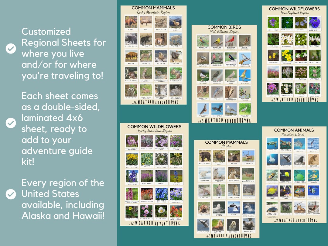 Regional Sheets ADD ON - Add-on Sheets for Adventure Kits - Etsy