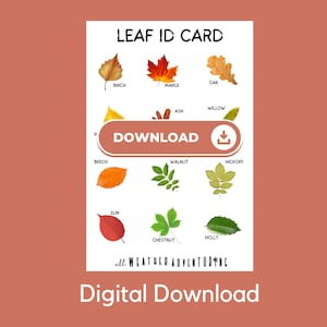 Leaf Identification Card-digital Download- Fall Activity - Etsy