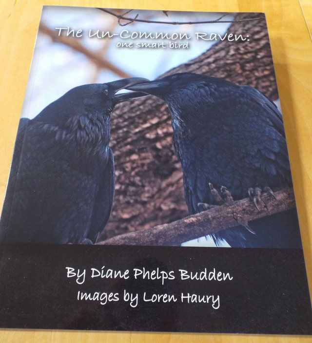 BestVintageDealsbyRJ - Etsy